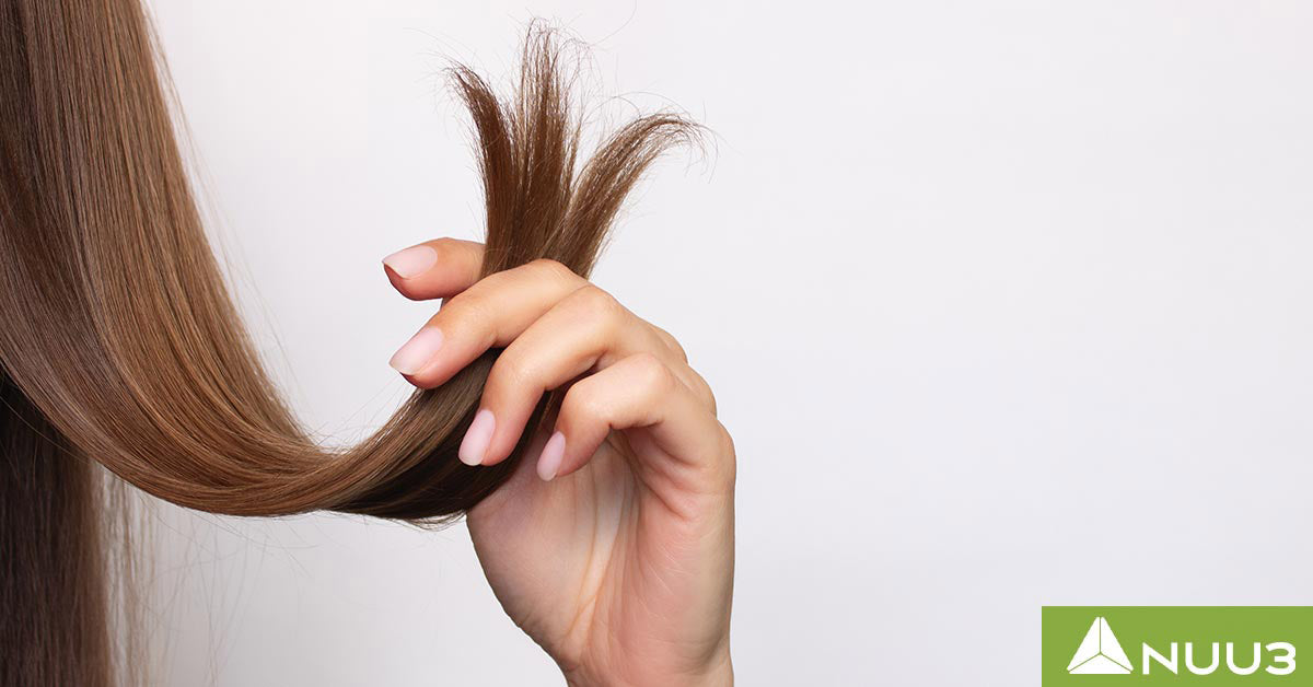 Split Ends No More: Your Guide to Gorgeous Hair! – Nuu3