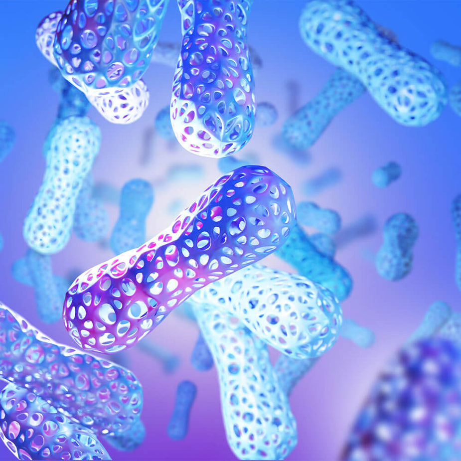 Gut Health 365 – Nuu3